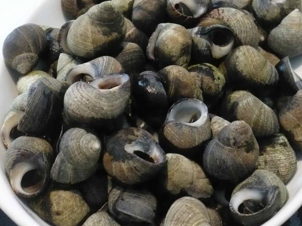 Sorprendido con 720 muergos y 4 kilos de caracolillos mientras ...